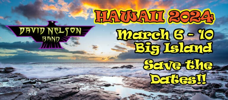 David Nelson Band — The David Nelson Band