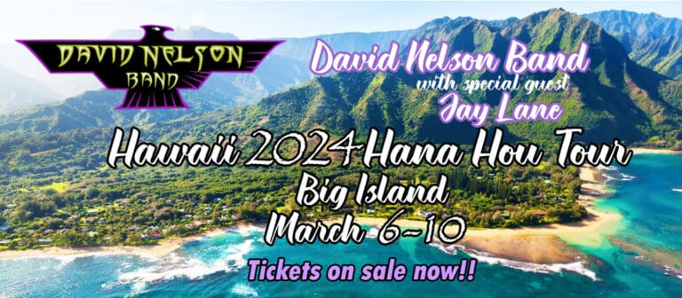 David Nelson Band — The David Nelson Band