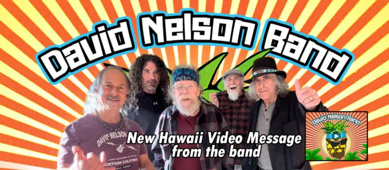 David Nelson Band — The David Nelson Band